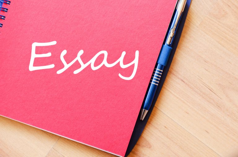 Essay Writing Service